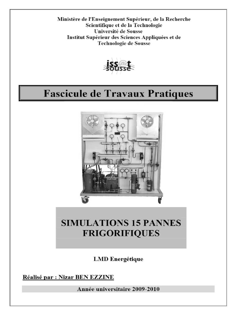 Fascicule de Travaux Pratiques - PDF Téléchargement Gratuit | PDF