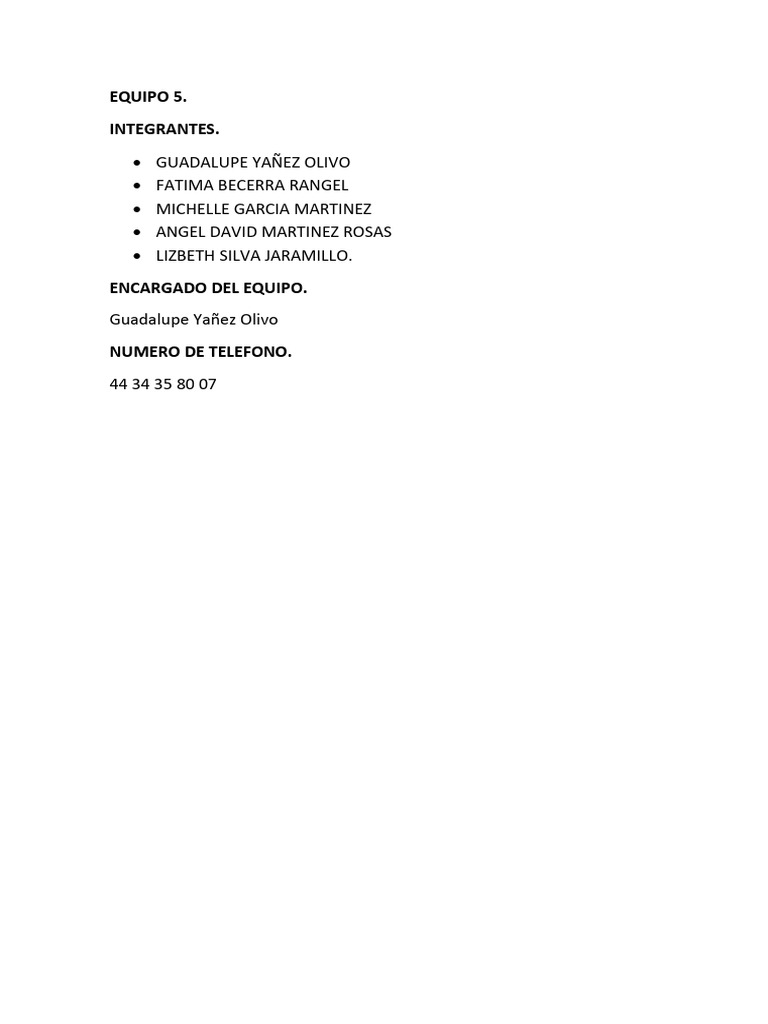 Proyecto, Equipo 5 | PDF