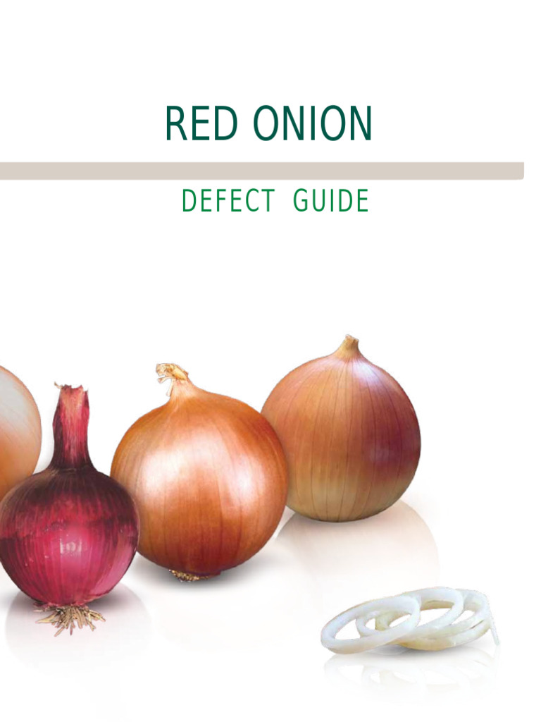 Red Onion Defect Analysis Guide | PDF