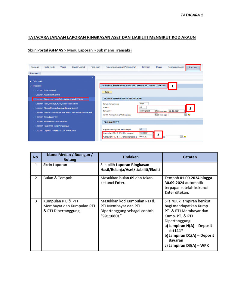 Tatacara Janaan Laporan Ringkasan Aset Dan Liabiliti Mengikut Kod Akaun2211 | PDF