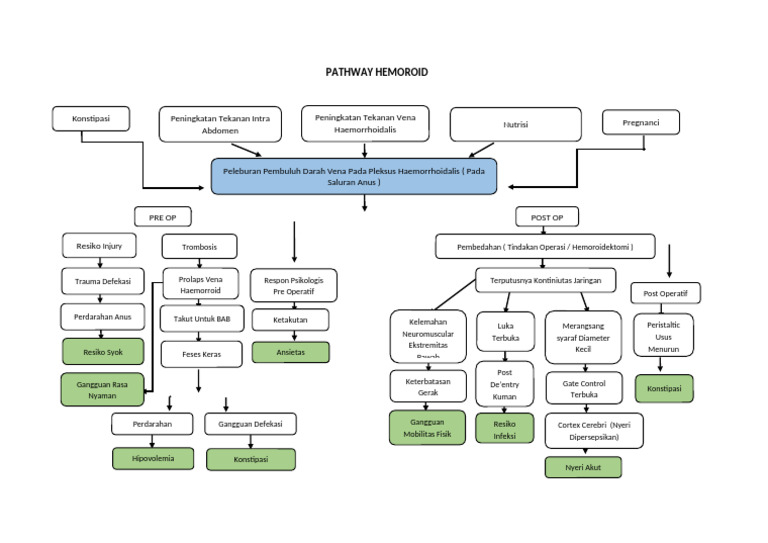 Pathway Hemoroid Pasca Operasi | PDF