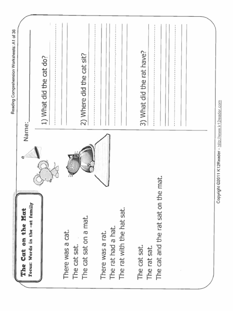 Comprehension Silent Reading | PDF