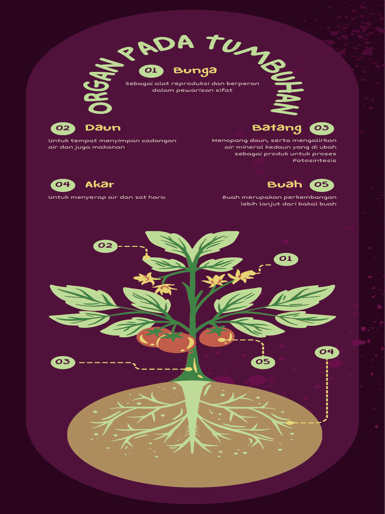 Parts of A Plant Science Educational Infographic in Green and Purple ...