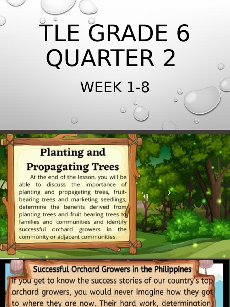 Tle Grade 6 Week 1-8 - 115752 | PDF