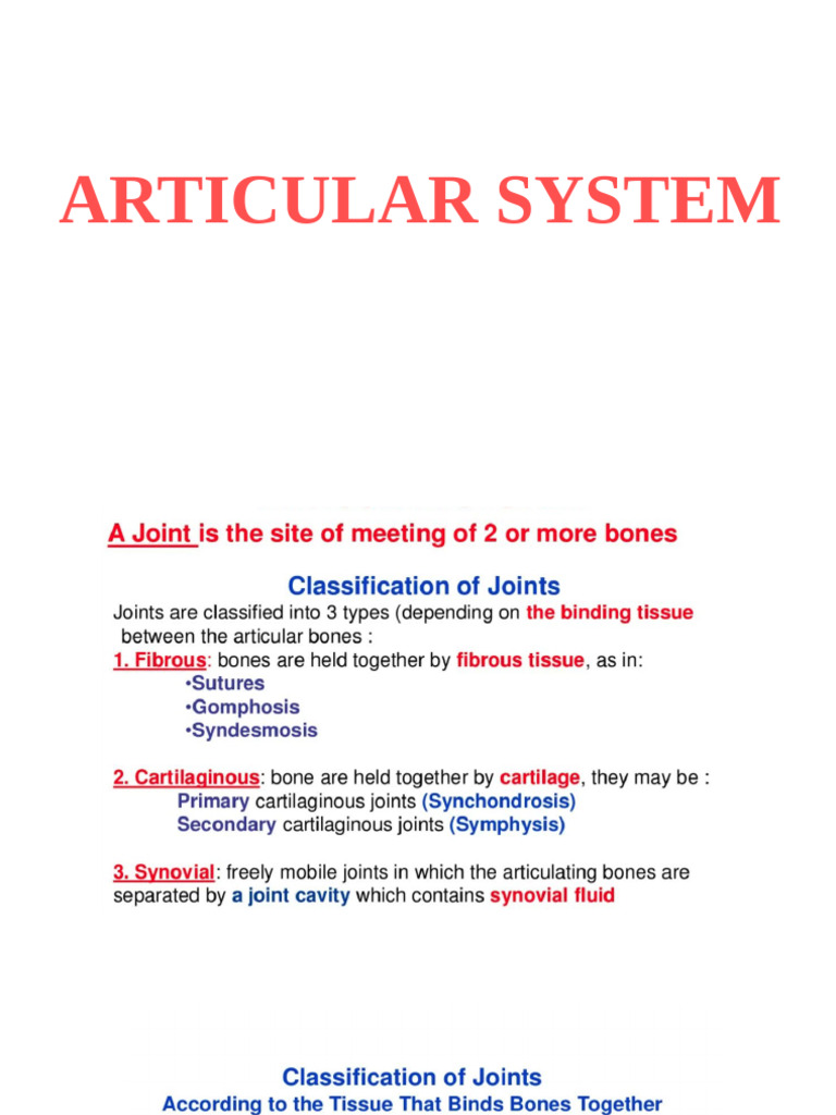 Articular System | PDF