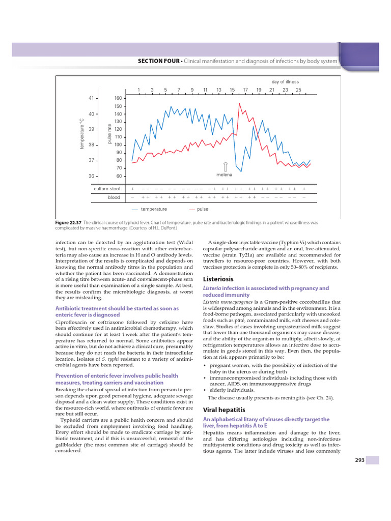 Tham Khảo Phần Virus Viêm Gan-Mims Medical Microbiology by Richard V ...