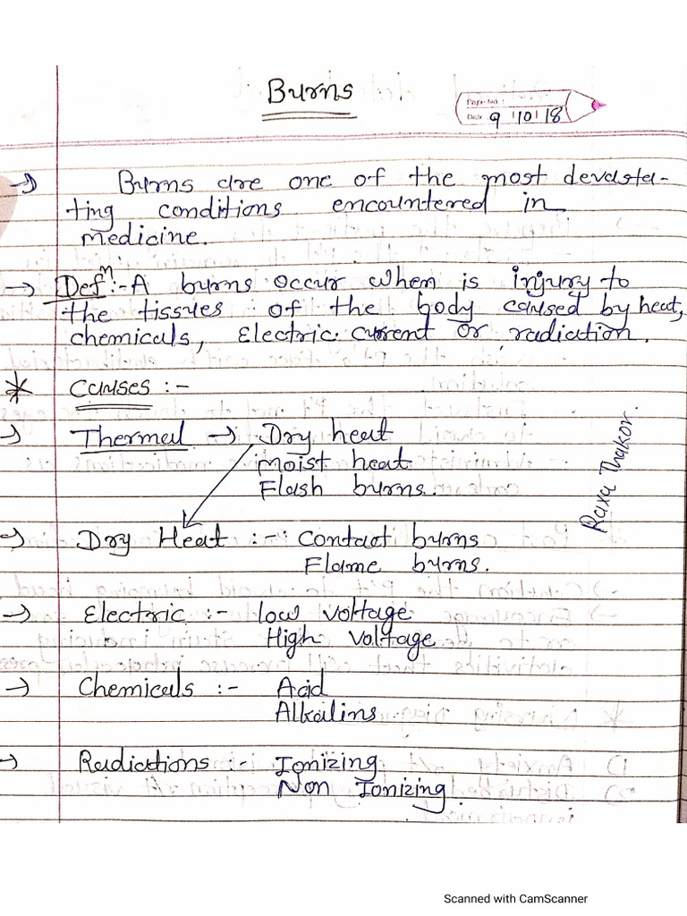 Burns Notes | PDF