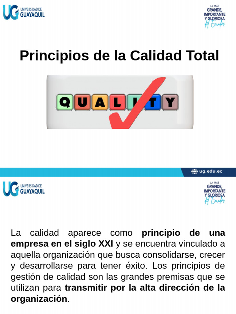 C. PRINCIPIOS DE LA CALIDAD.. | PDF | Sistema de manejo de calidad | Business