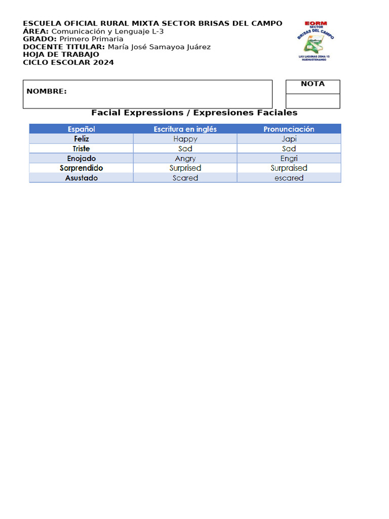 Expresiones Faciales en Idioma Ingles | PDF
