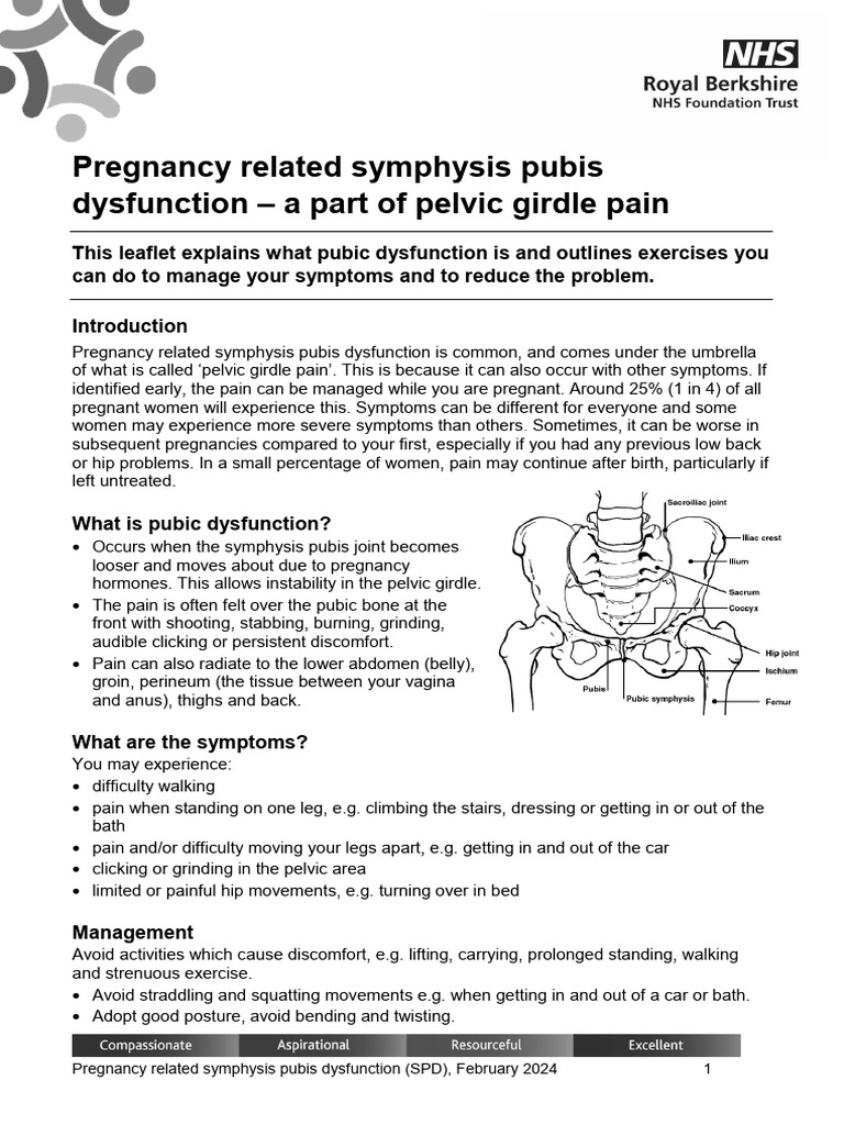 Pregnancy Pelvic Pain Guide | PDF | Pelvis | Abdomen