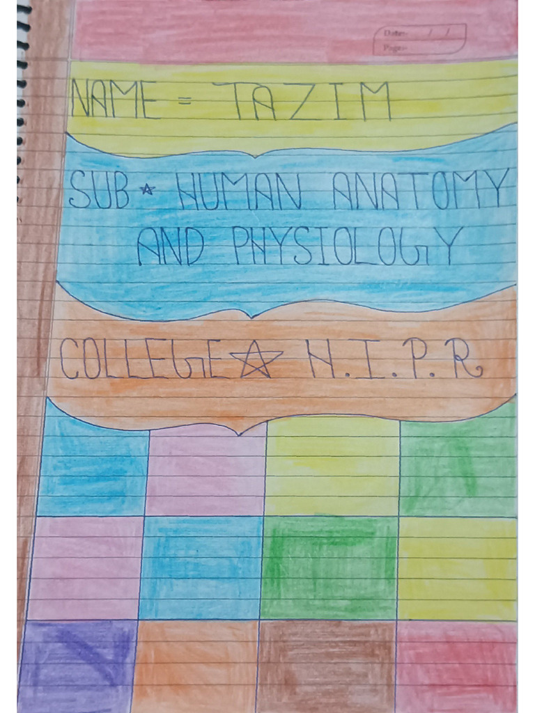 Human Anatomy and Physiology | PDF