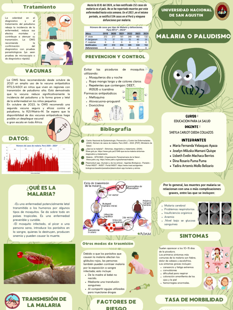 Folleto Tríptico Consejos para Cuidar A Tus Plantas Ilustrado Verde | PDF | Malaria | Plasmodium