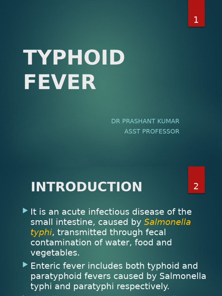 Typhoid | PDF | Salmonella | Infection