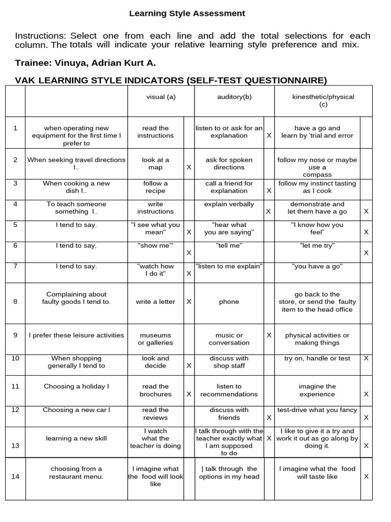Sample_learning_style_vinuya_adrian - Copy - Copy - Copy | PDF ...