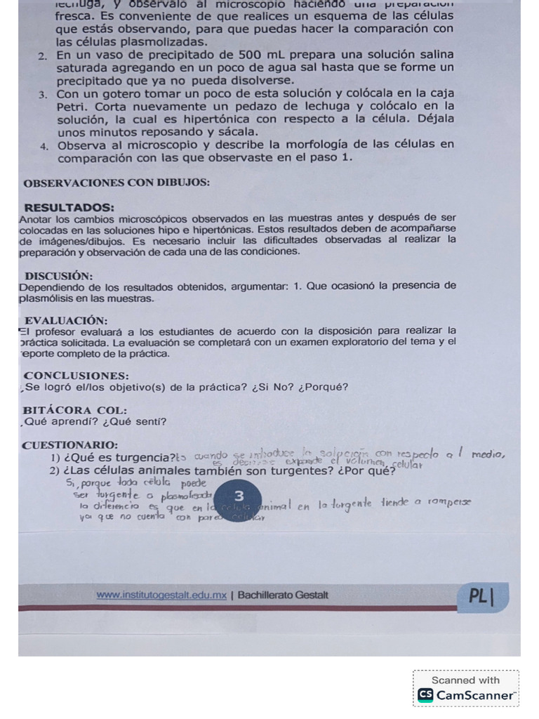Act5 Práctica de Laboratorio | PDF