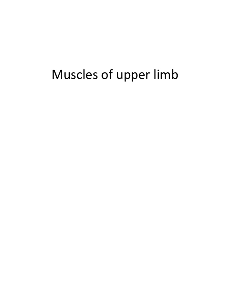 Muscles of Upper Limb | PDF | Thumb | Anatomical Terms Of Motion
