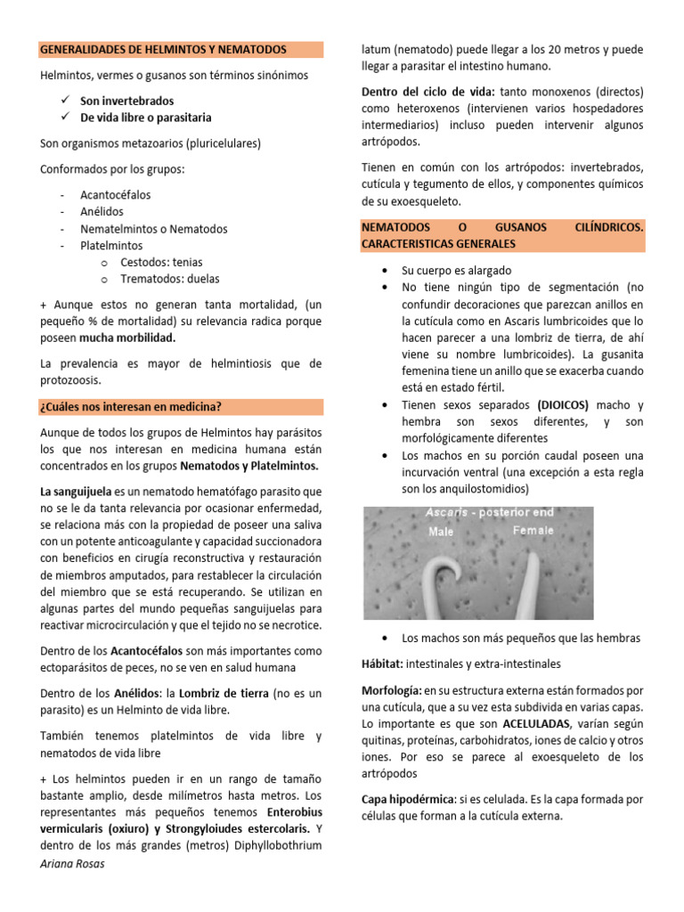 GENERALIDADES DE HELMINTOS Y NEMATODOS (2) | PDF | Nematodo | Parasitismo