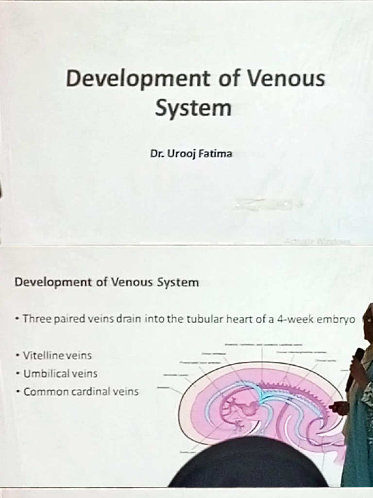 Lec4 Development of Venous System | PDF