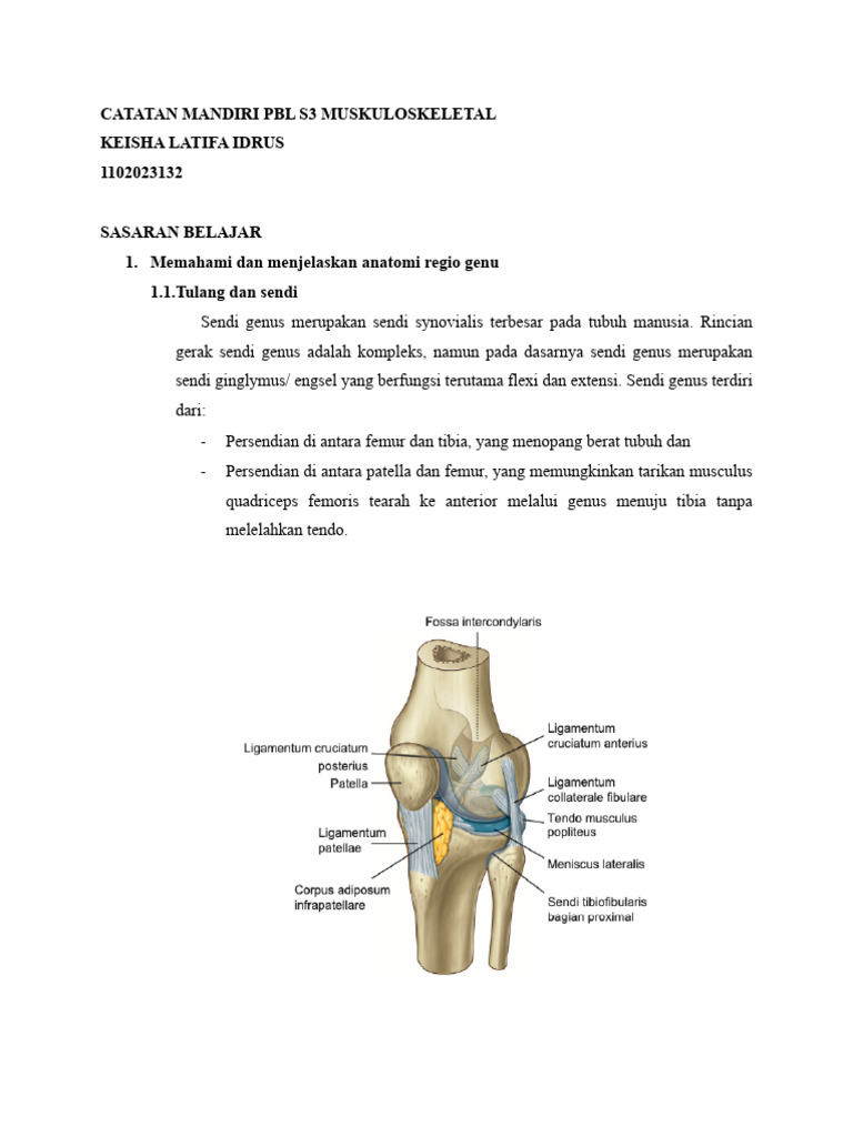 PBL Skenario 3 A16 | PDF