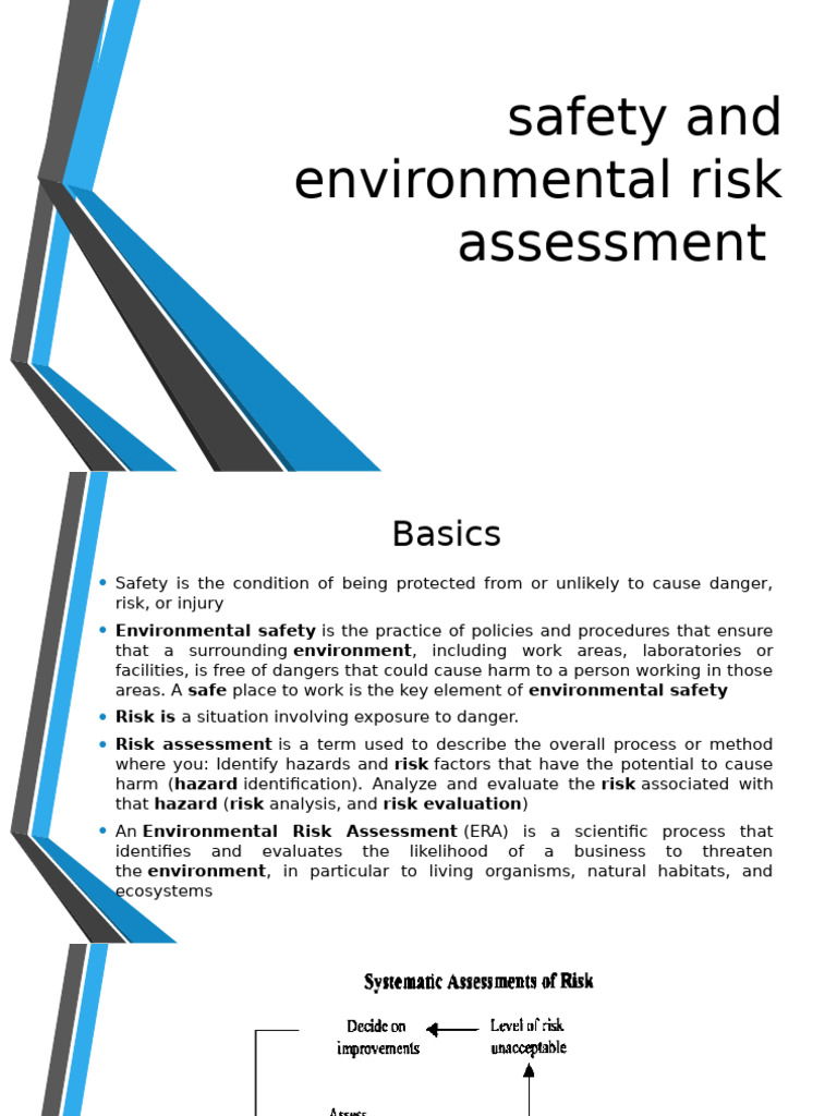 Environmental Risk Assessment Basics | PDF | Risk | Risk Assessment
