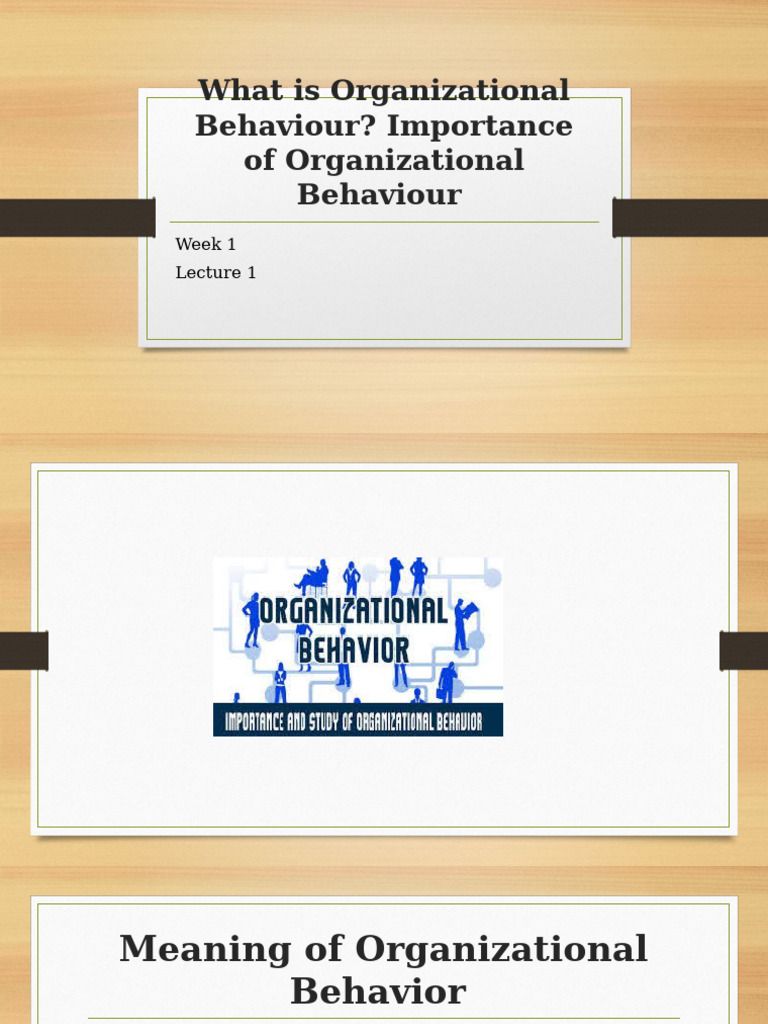 Understanding Organizational Behavior | PDF | Behavior | Consultant