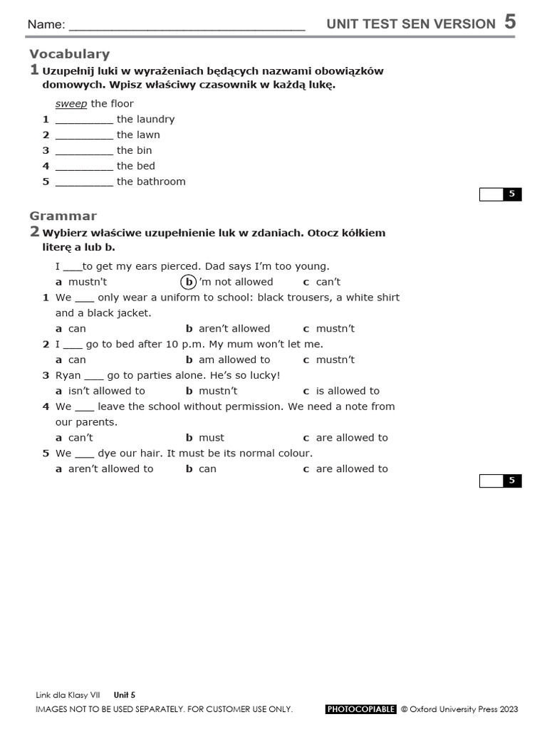 Unit Test SEN Version 5 for Class VII | PDF