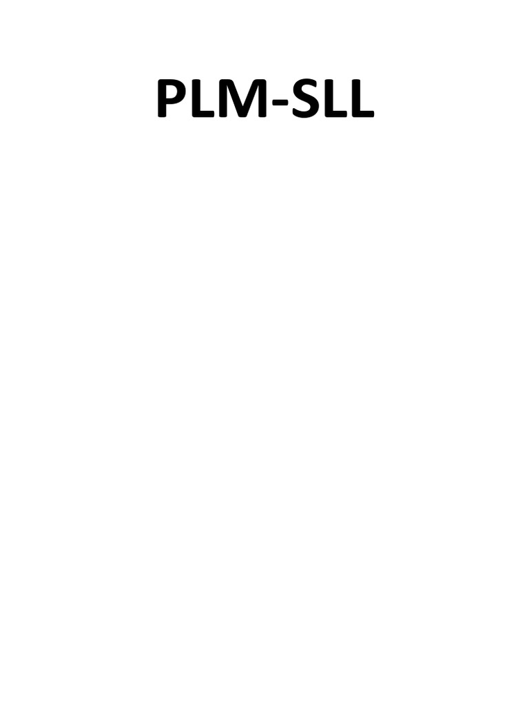 PLM SLL | PDF