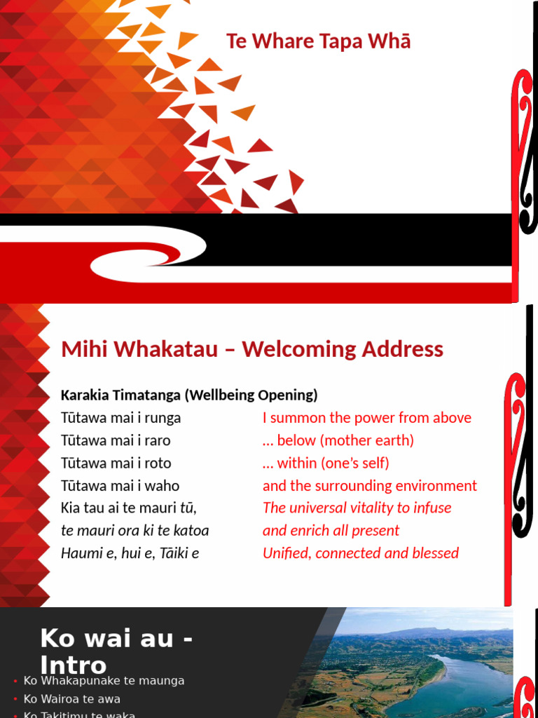 Te Whare Tapa Whā: Māori Wellbeing Model | PDF | Well Being | Mind