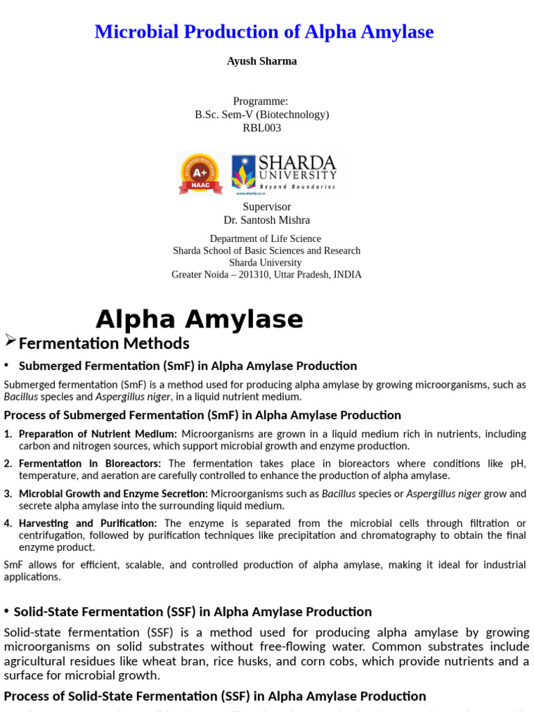 Microbial Production of Alpha Amylase | PDF | Starch | Fermentation