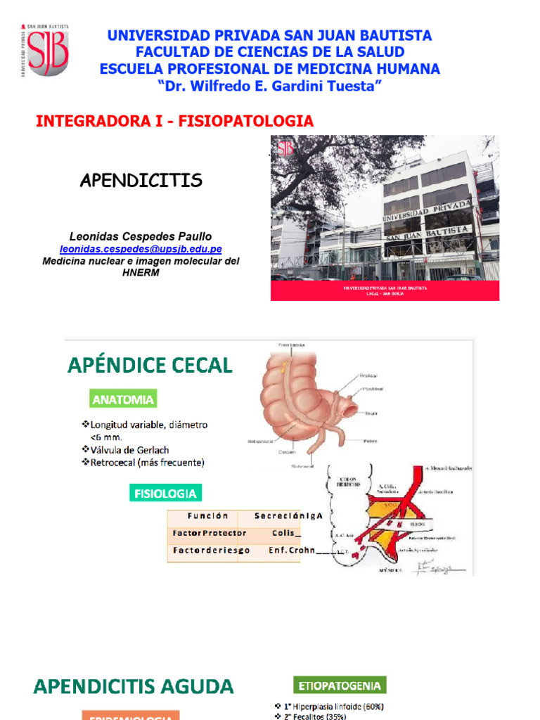 APENDICITIS | PDF