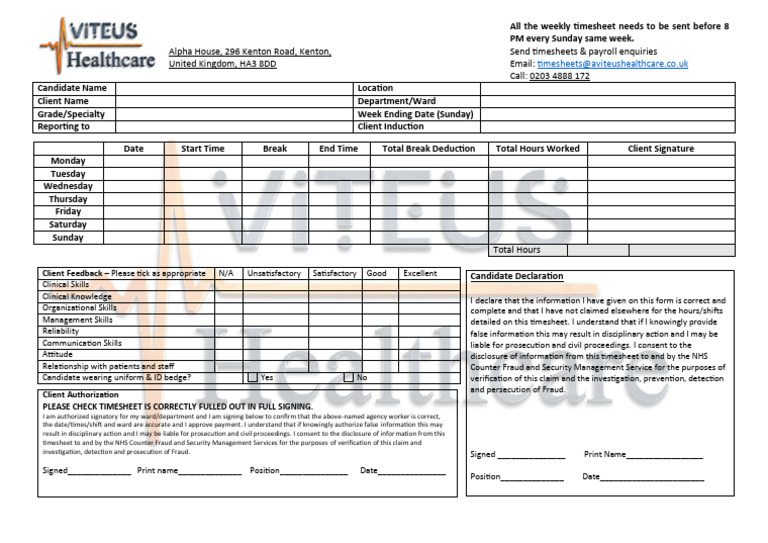 TIMESHEET & Assesment Aviteus Healthcare | PDF