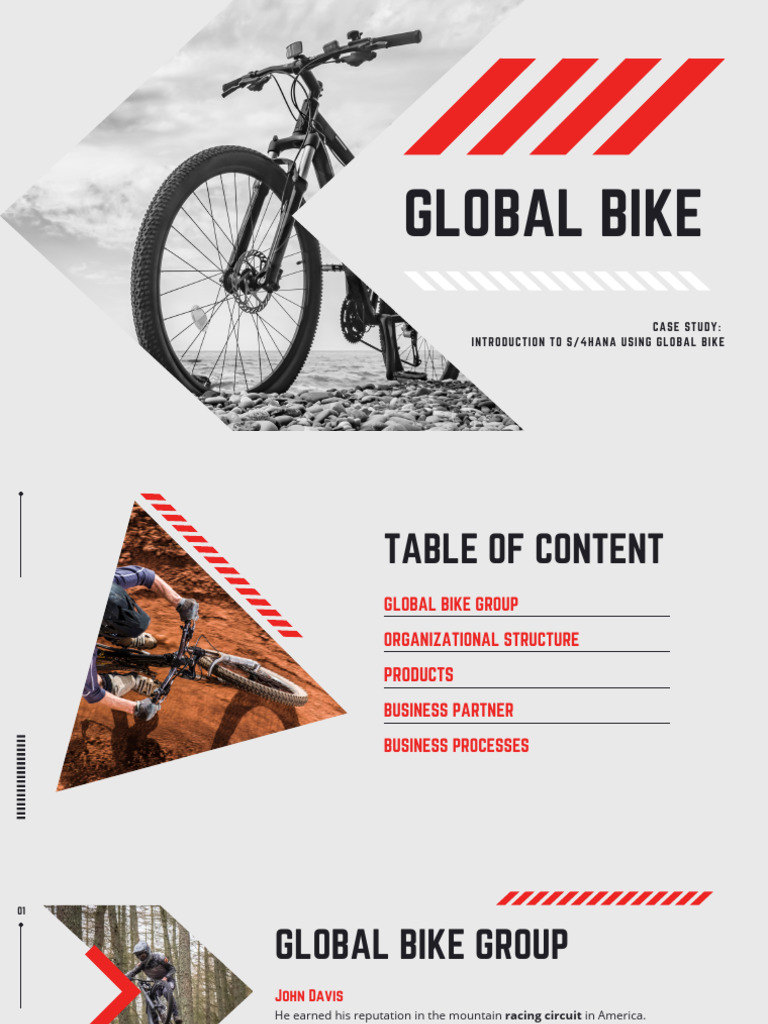 Global Bike Group: S/4HANA Case Study | PDF | Supply Chain | Business