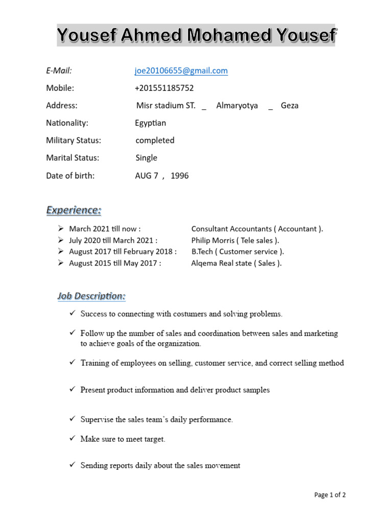 Cv Yousef | PDF