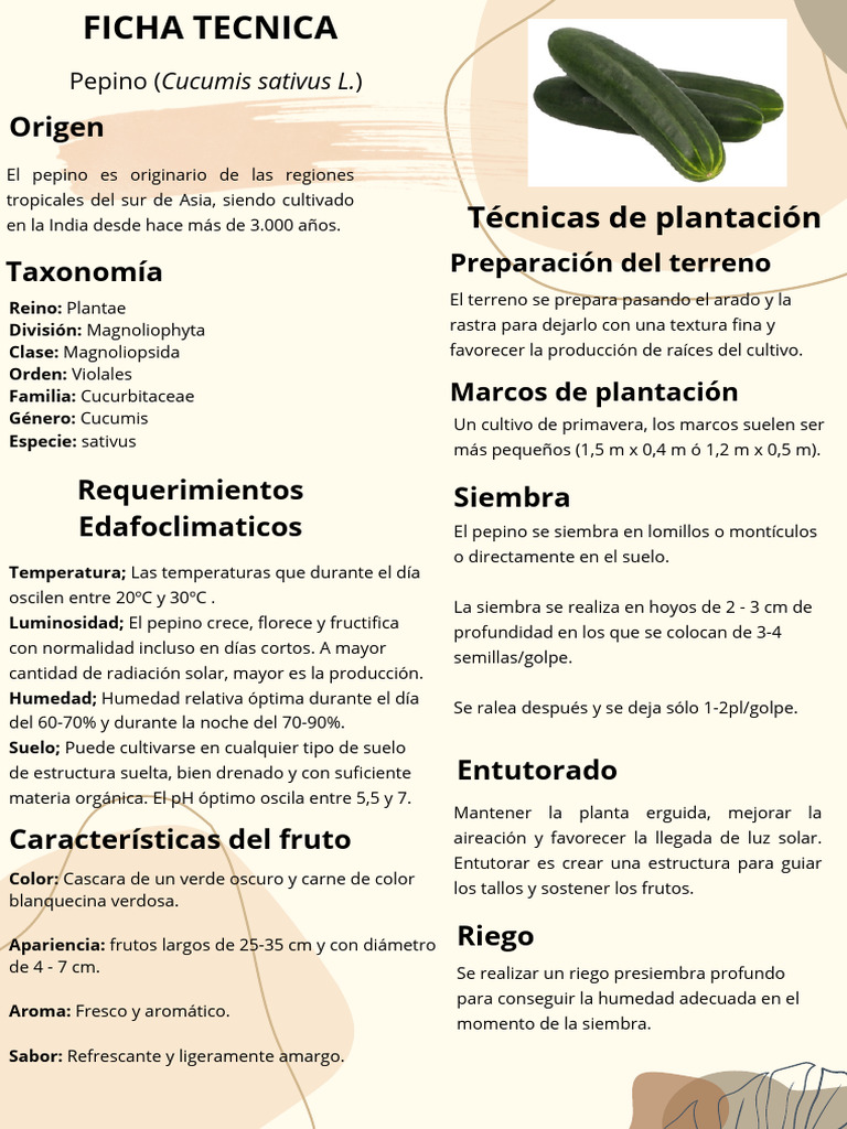 Ficha Técnica Pepino | PDF | Pepino