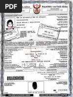 Professional Driving Permit Form | PDF