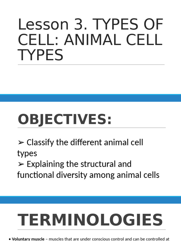 Types of Animal Cells Explained | PDF | Science & Mathematics