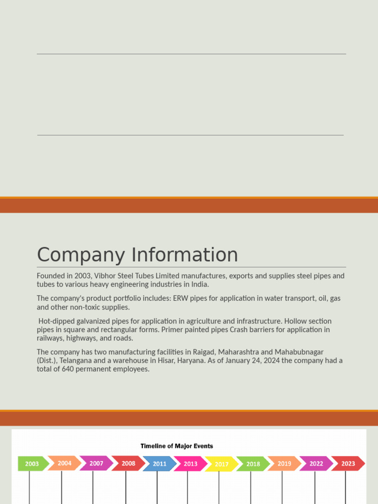 Vibhor Steel Finannce Project | PDF | Initial Public Offering | Investing