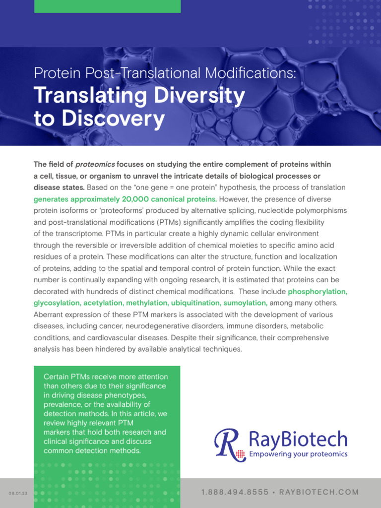 Protein Post-Transational Modification (RayBiotech Study) | PDF ...