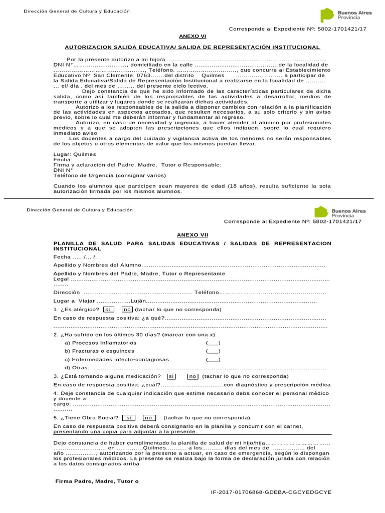 Anexo Vi y Vii 4-5-6 | PDF