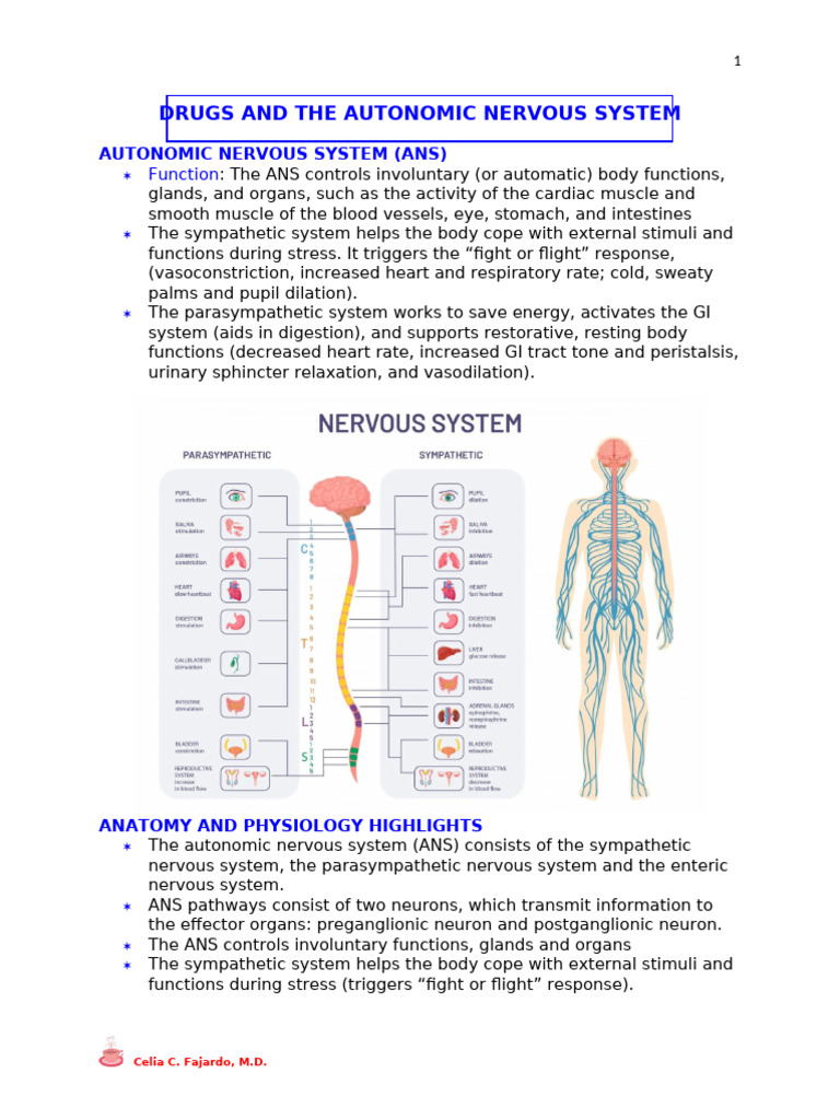 Autonomic-Nervous-System | PDF | Autonomic Nervous System | Acetylcholine