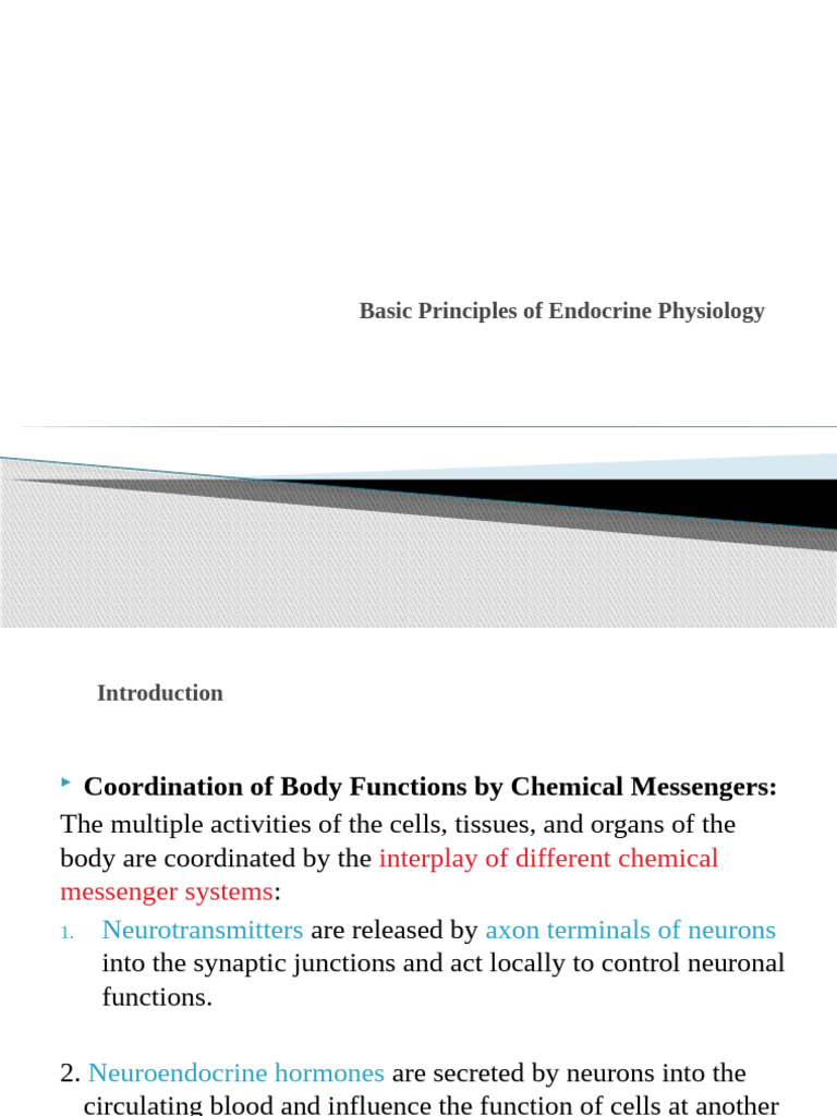Endocrine Physiology Basics Explained | PDF | Hormone ...
