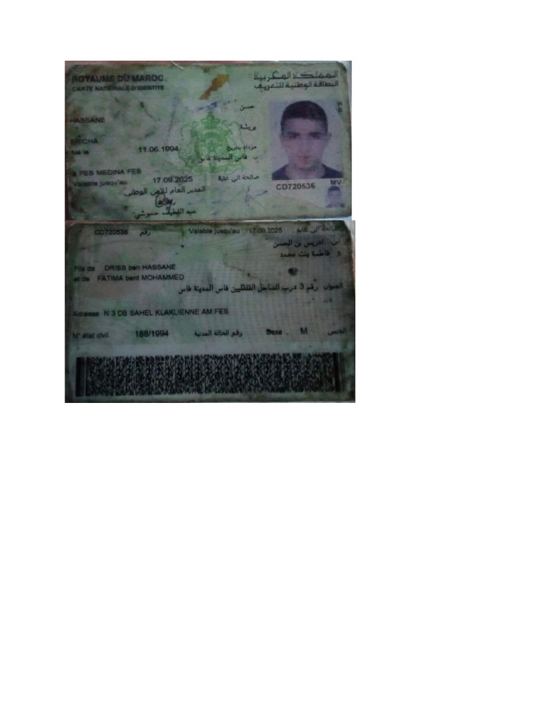 Bricha | PDF