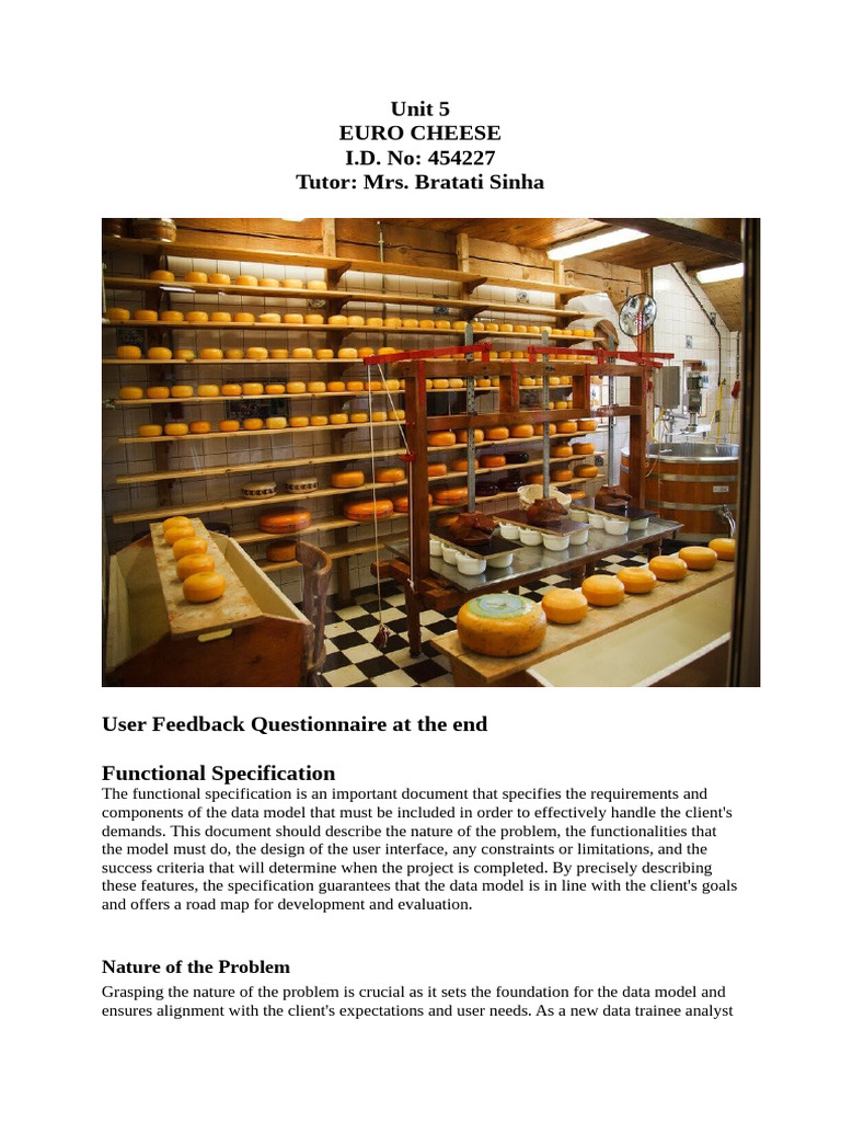 Unit 5 Cheese Factory V2 | PDF | Usability | Spreadsheet