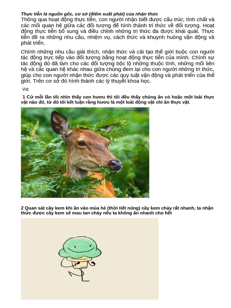 GDCD Nhóm 3 - TThao 10.11 | PDF