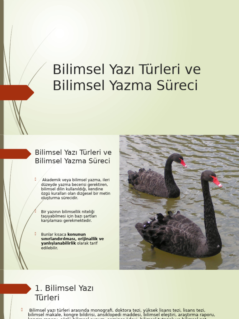 11. Bilimsel Yaz考ar | PDF