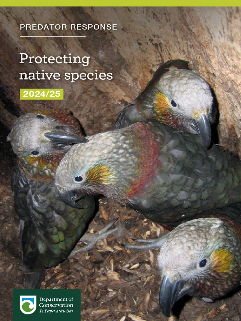 Predator Response Booklet | PDF | Home & Garden | Science & Mathematics