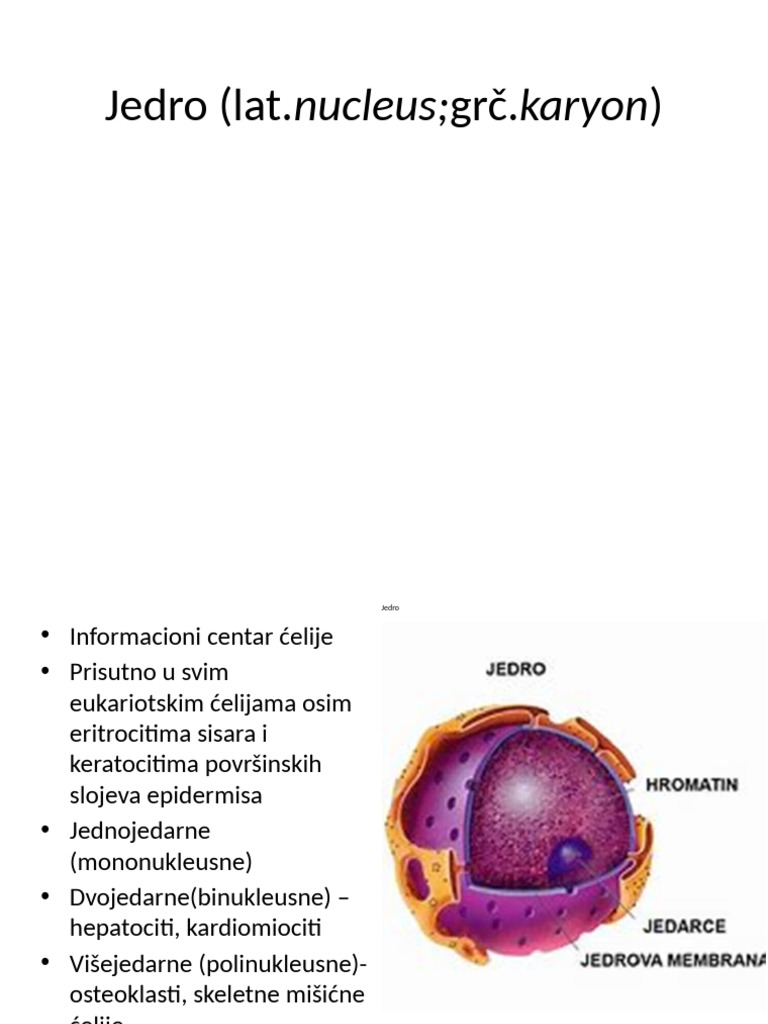 Jedro Azra 2024 | PDF
