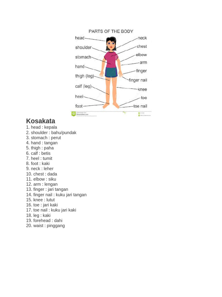 parts of body | PDF