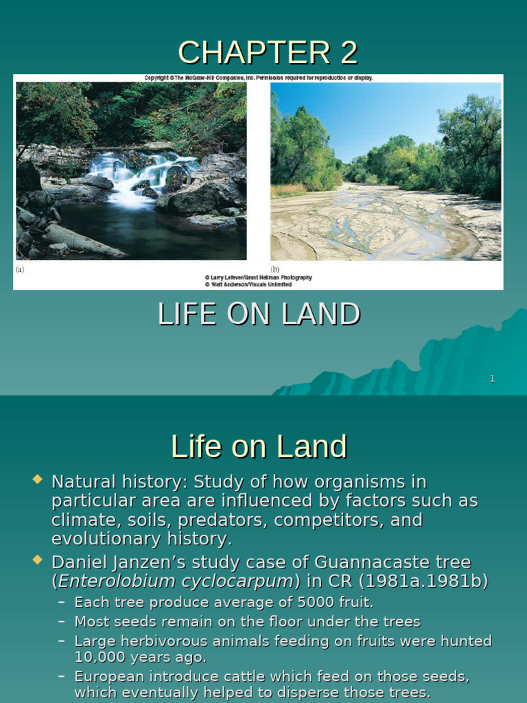 Life On Land | PDF | Soil | Forests