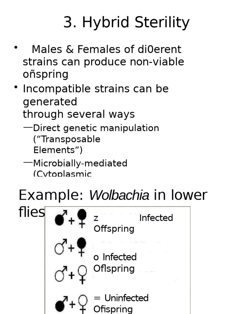 Hybrid Sterility | PDF | Pest (Organism)